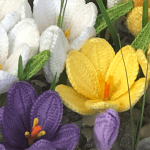 Crochet Crocus Pattern - Natagor Finlayson
