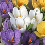 Crochet Crocus Pattern - Natagor Finlayson